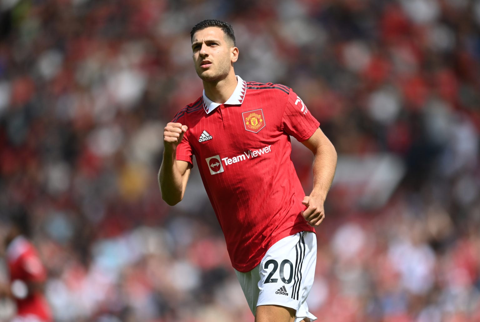 Manchester United Squad - United In Focus