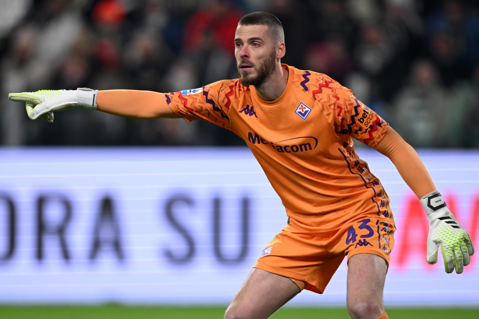 David De Gea now targeted for Champions League return after bouncing ...